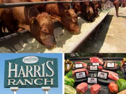 Qualtrax, Inc. Welcomes New Customer: Harris Ranch Beef Company ...