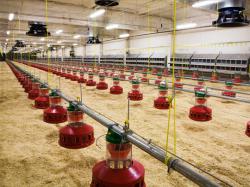 Mar-Jac Poultry Purchases Marshall Durbin, Including Jasper Plant ...