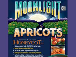 Moonlight Joins Sun World Stonefruit Program; Will Grow & Market New ...