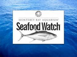 Latest 'Seafood Watch' Guidelines Released - Perishable News