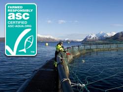 Harmonizing The ASC Standards - Perishable News