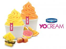 Dannon YoCream Expands Sorbet Line With Two New Options To Help ...