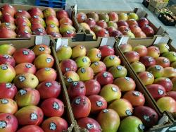 Amazon Produce Network Introduces 24 Lb Standard Footprint Pack Style ...