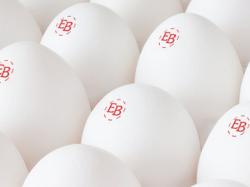 Blue Brain Cheese Is Hard To Get In The US - Perishable News