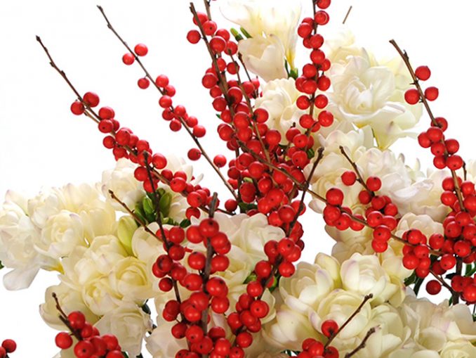 Butterfly Ranunculus Primer - Perishable News