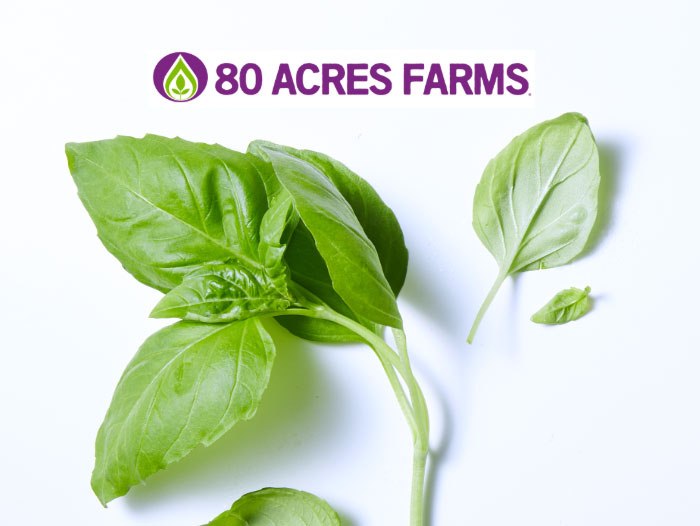 Ocado Joins Priva and 80 Acres Farms in Infinite Acres' Global Indoor ...