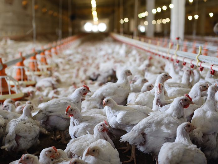 BASF Becomes Founding Member of the US Roundtable for Sustainable ...