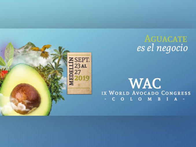 Brooks Tropicals Continues Year-Round Tropical Avocado Season With ...