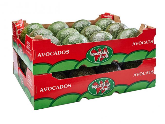 Brooks Tropicals Continues Year-Round Tropical Avocado Season With ...