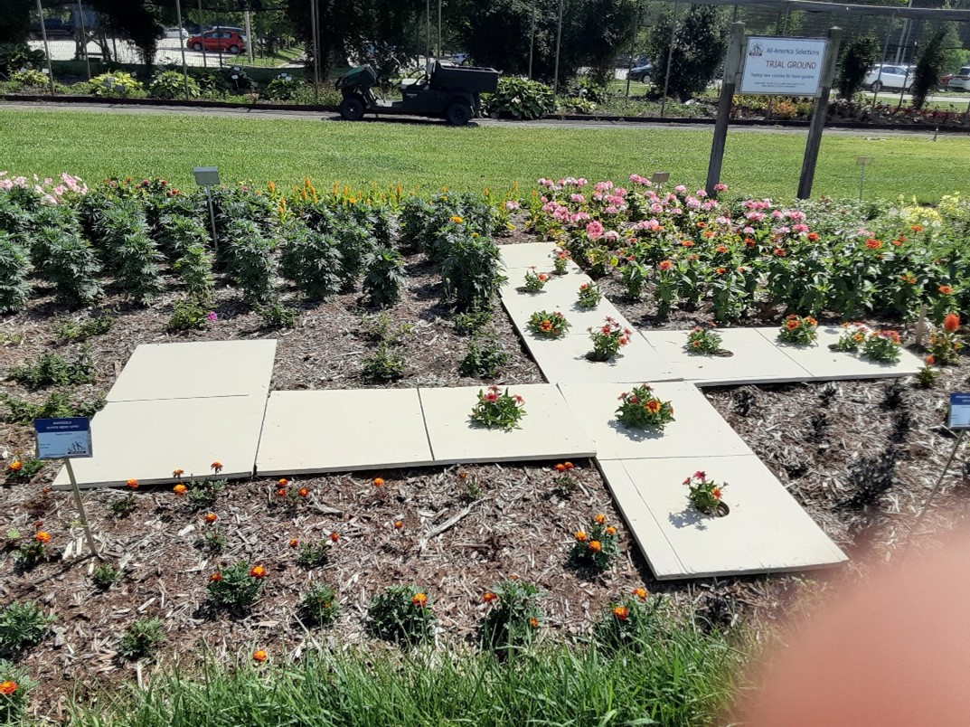 Winners of the “Best Ever” 2022 AAS Display Garden Landscape Design ...